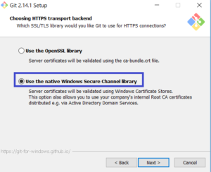 Fix Git Self Signed Certificate in Certificate Chain on Windows - carlosvictor.dev